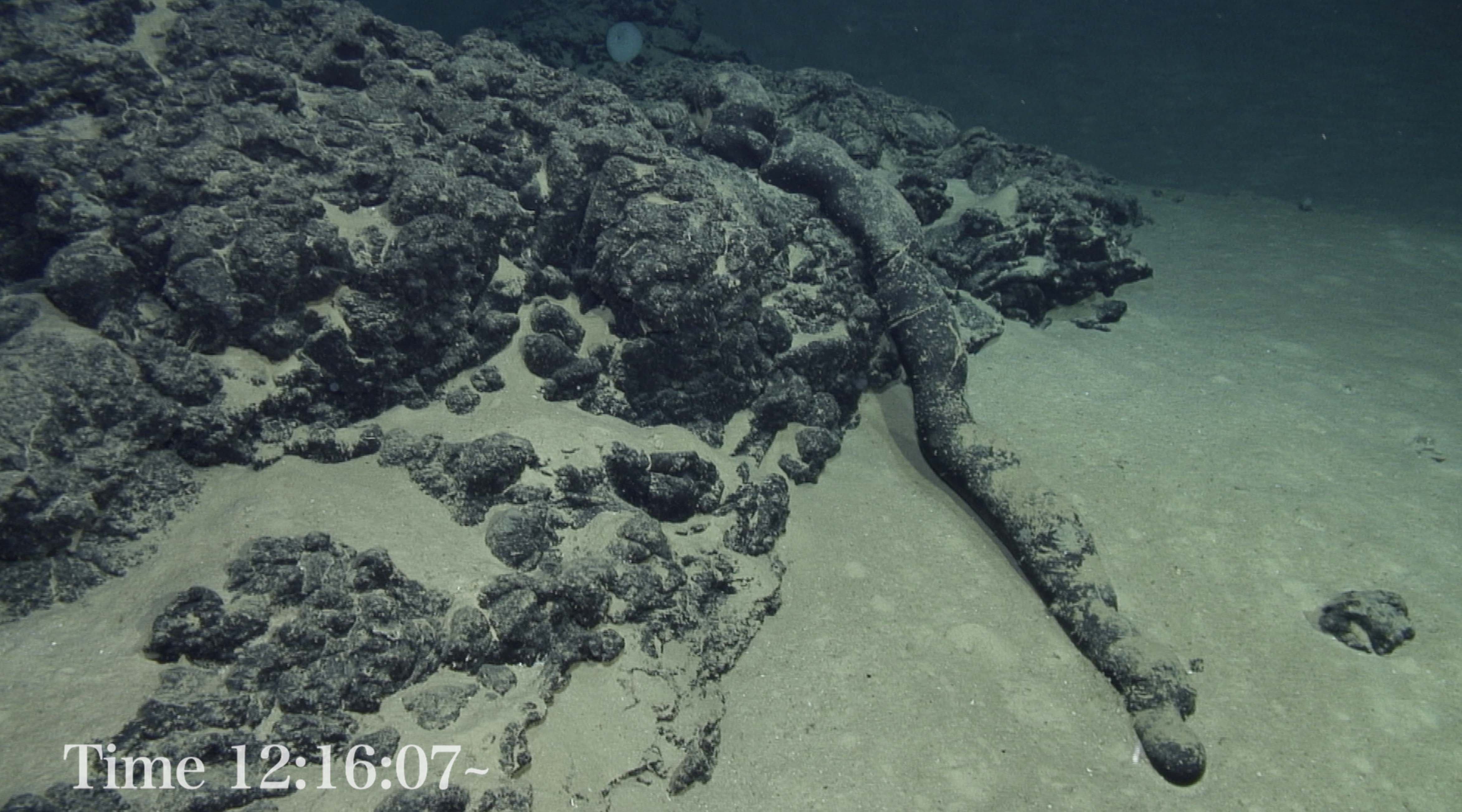 CBE 7 | The Symposium